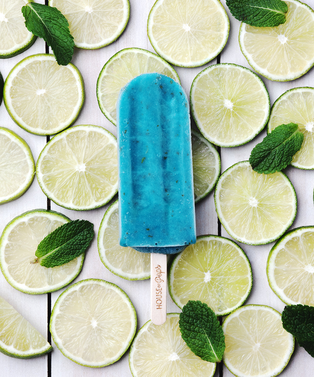 Happiness Series | Flavorful Plant-Based Pops | House of Pops